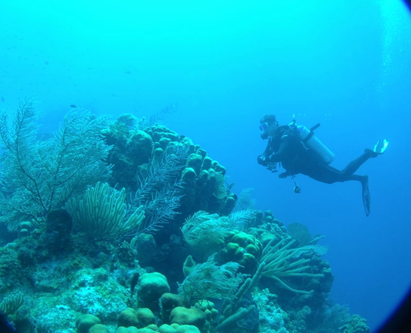 Tours in Placencia, Belize - Sirenian Bay Resort & Villlas
